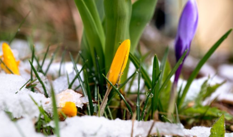 Avaldatud 06.06.2019. Viimati muudetud 21.10.2023.